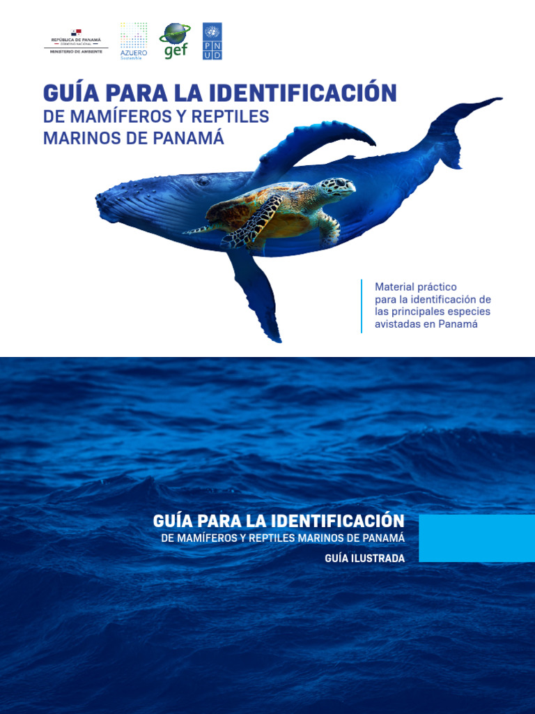 Identificación de Mamíferos y Reptiles Marinos en Panamá | PDF ...