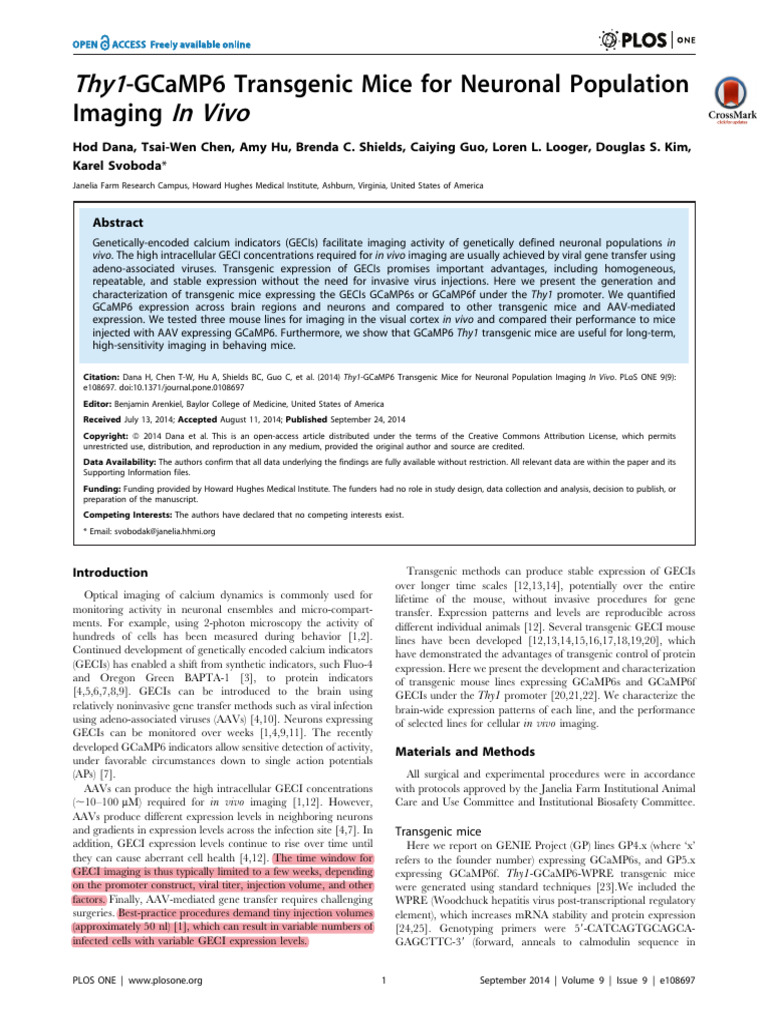 Thy1-GCaMP6 Transgenic Mice For Neuronal Population Imaging in Vivo ...