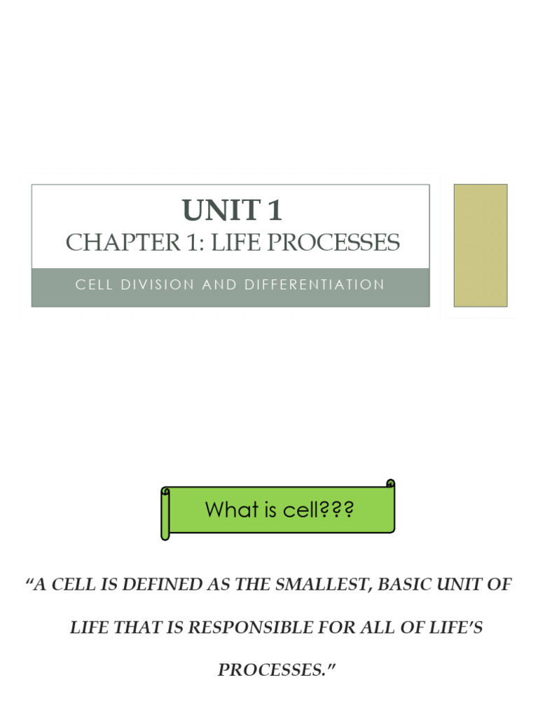 Cell Division and Differentiation | PDF | Mitosis | Cell (Biology)