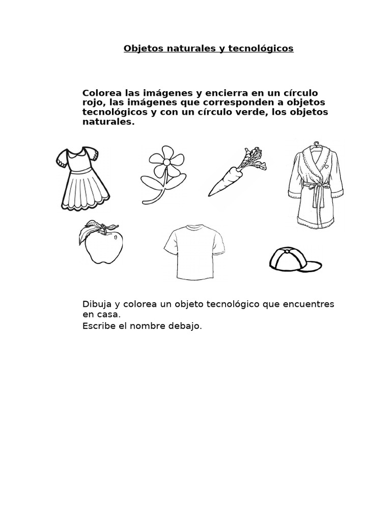 Objetos Naturales y Tecnológicos | PDF