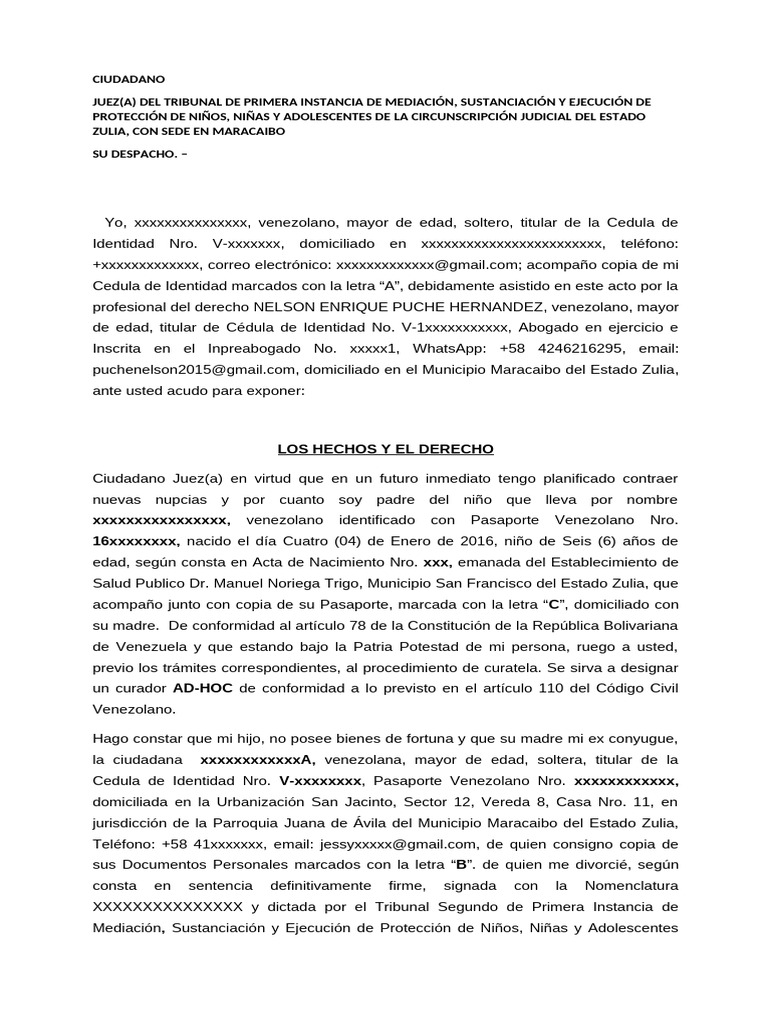 Curatela JAMES DUARTE | PDF | Venezuela | Gobierno