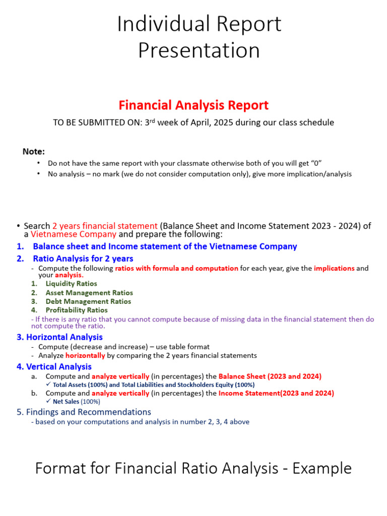 Individual Presentation - Financial Analysis | PDF