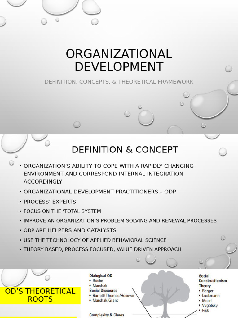 Understanding Organizational Development | PDF | Lean Manufacturing ...