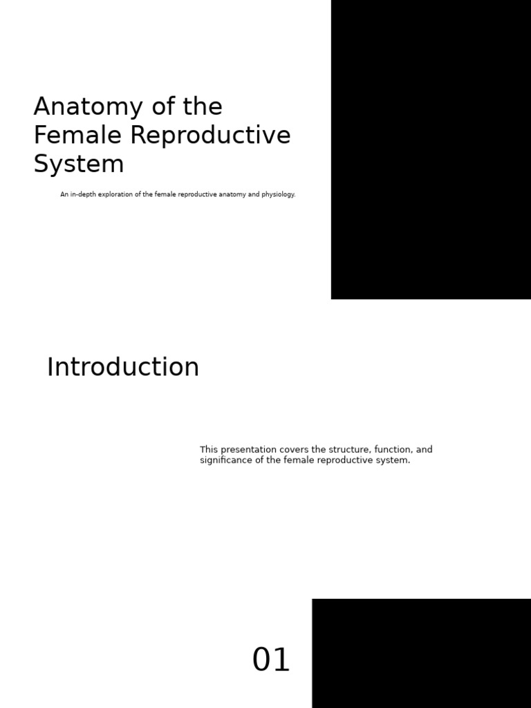 Anatomy of The Female Reproductive System | PDF | Menstrual Cycle ...