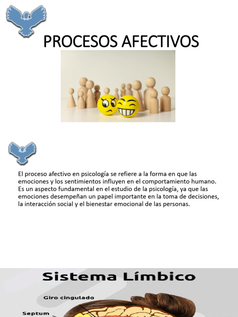 Procesos Afectivos en Psicología | PDF | Las emociones | Cerebro