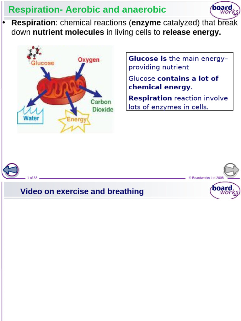 Aerobic and Anaerobic Respiration Explained | PDF | Cellular ...