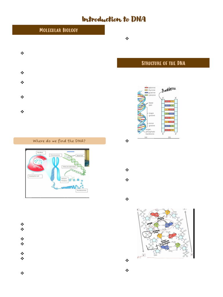 Introduction Nucleic Acid Amplification | PDF | Dna | Gene