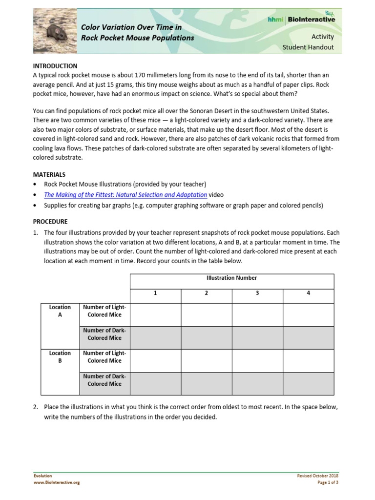 Rock Pocket Mouse Color and Fitness | PDF | Mouse | Fitness (Biology)