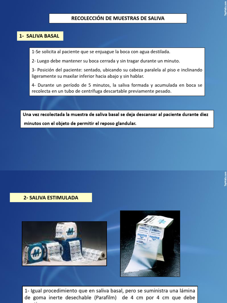 clase 13 Recolección de Saliva | PDF | Saliva