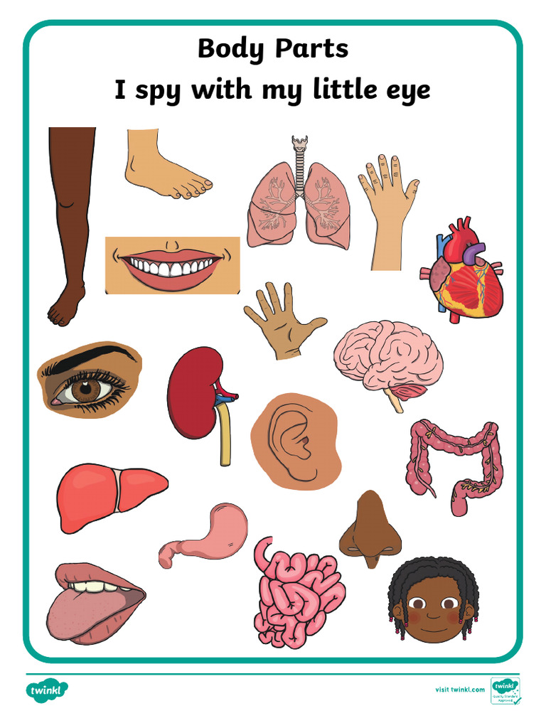 Body Parts: I Spy Game Guide | PDF