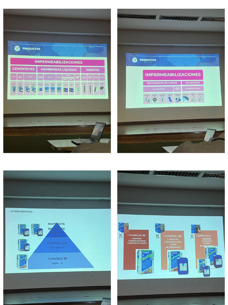 Apunte charla Mapei | PDF