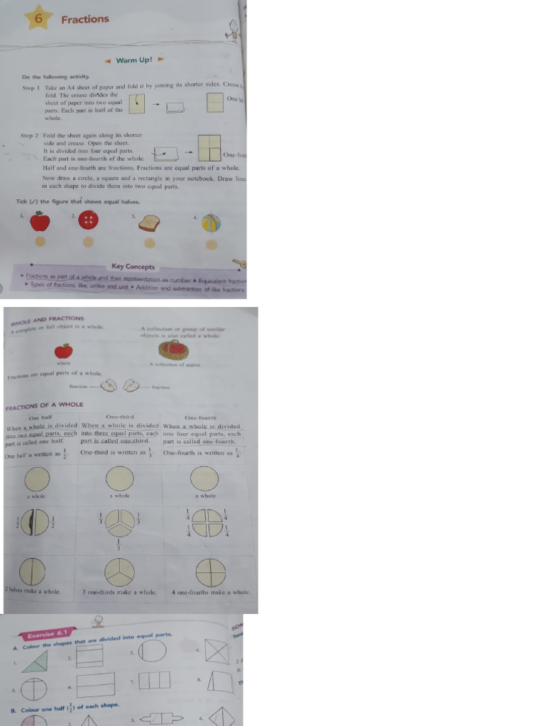 Fractions Icse Book Class 4 | PDF