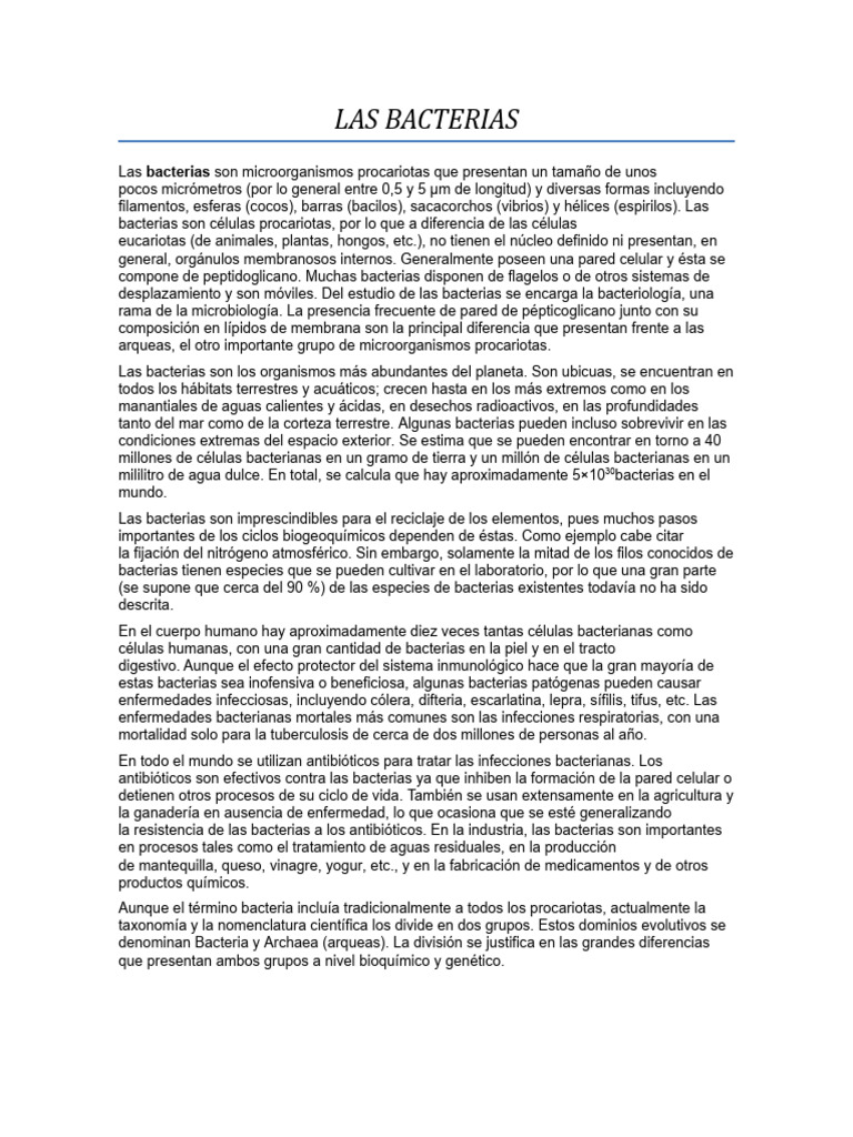 Las Bacterias | PDF | Las bacterias | Biología Celular)