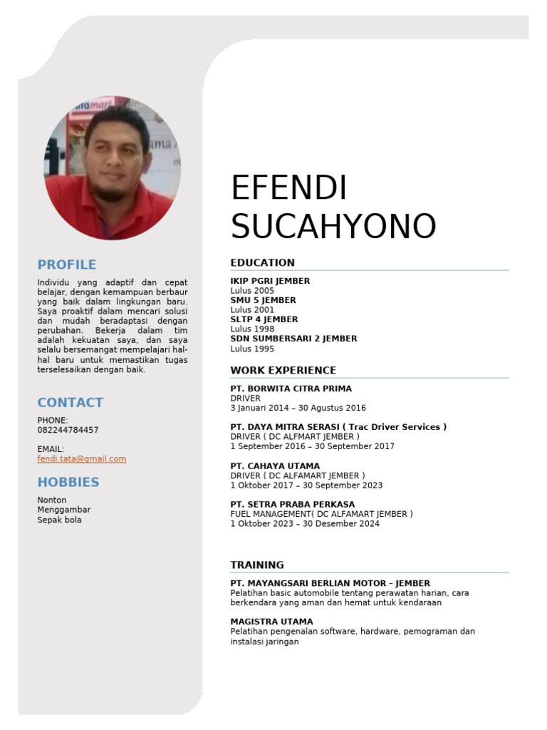 Curiculum Vitae Efendi | PDF