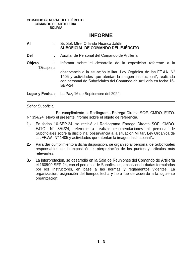 02 Informe Al Sof Comando | PDF | Justicia | Crimen y violencia