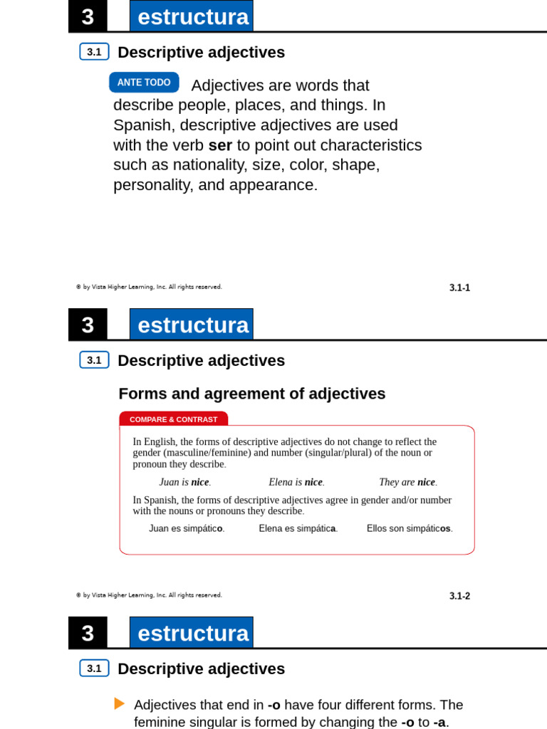 3.1 Descriptive Adjective Grammar Slides | PDF | Grammatical Gender ...