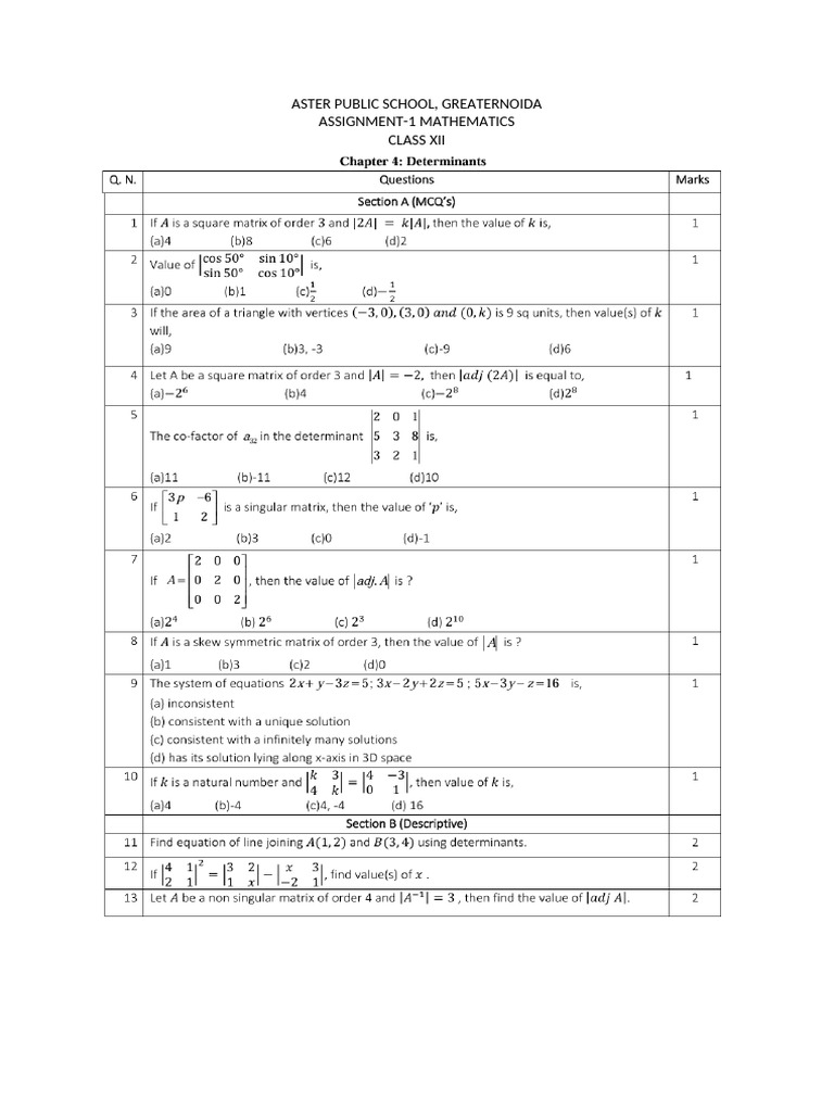 Class XII Mathematics Assignment - APS | PDF
