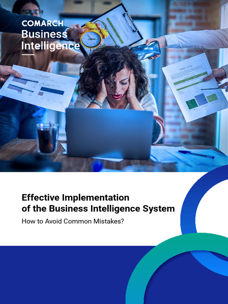 Effective Implementation of The Business Intelligence System | PDF | Databases | Business ...