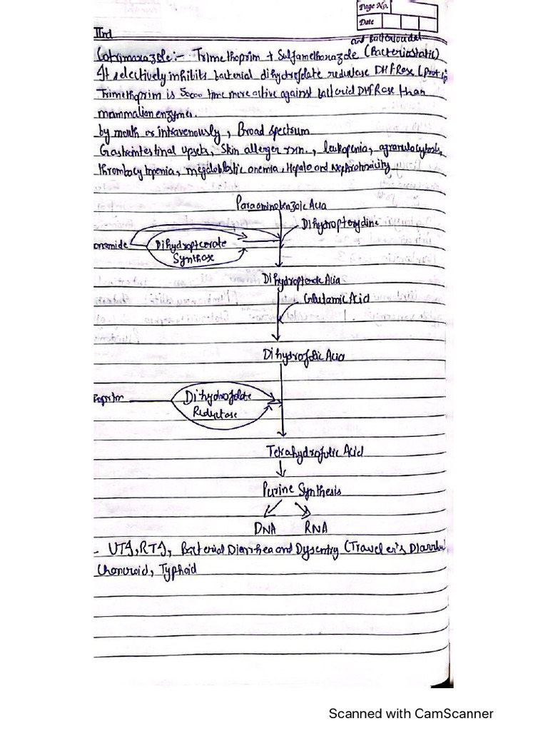 Infectiology Pharma | PDF