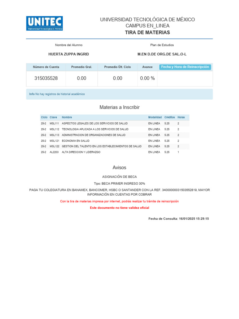 Tira de Materias | PDF