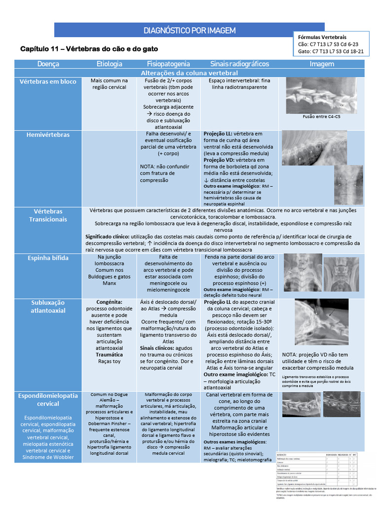 Diagn¢stico-por-imagem | PDF | Vértebra | Coluna vertebral