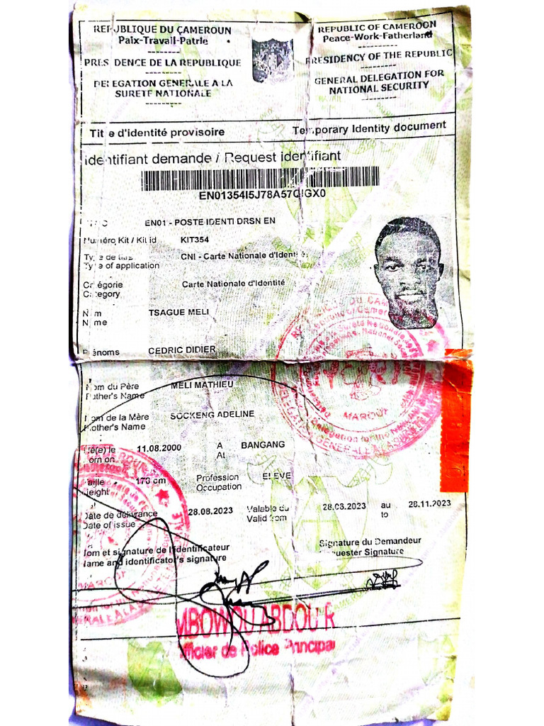 CNI TSAGUE MELI Cédric Didier | PDF