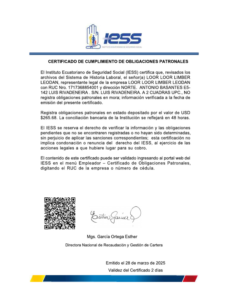 IESS | PDF