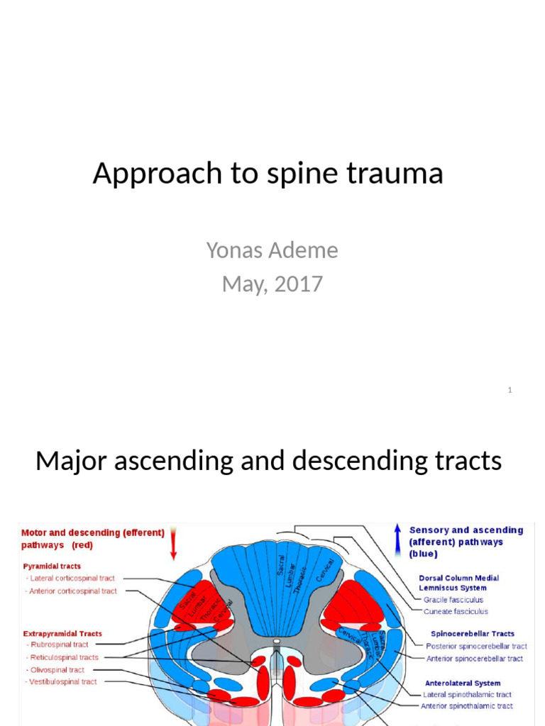 5.approach To Spine Trauma | PDF | Vertebral Column | Spinal Cord Injury