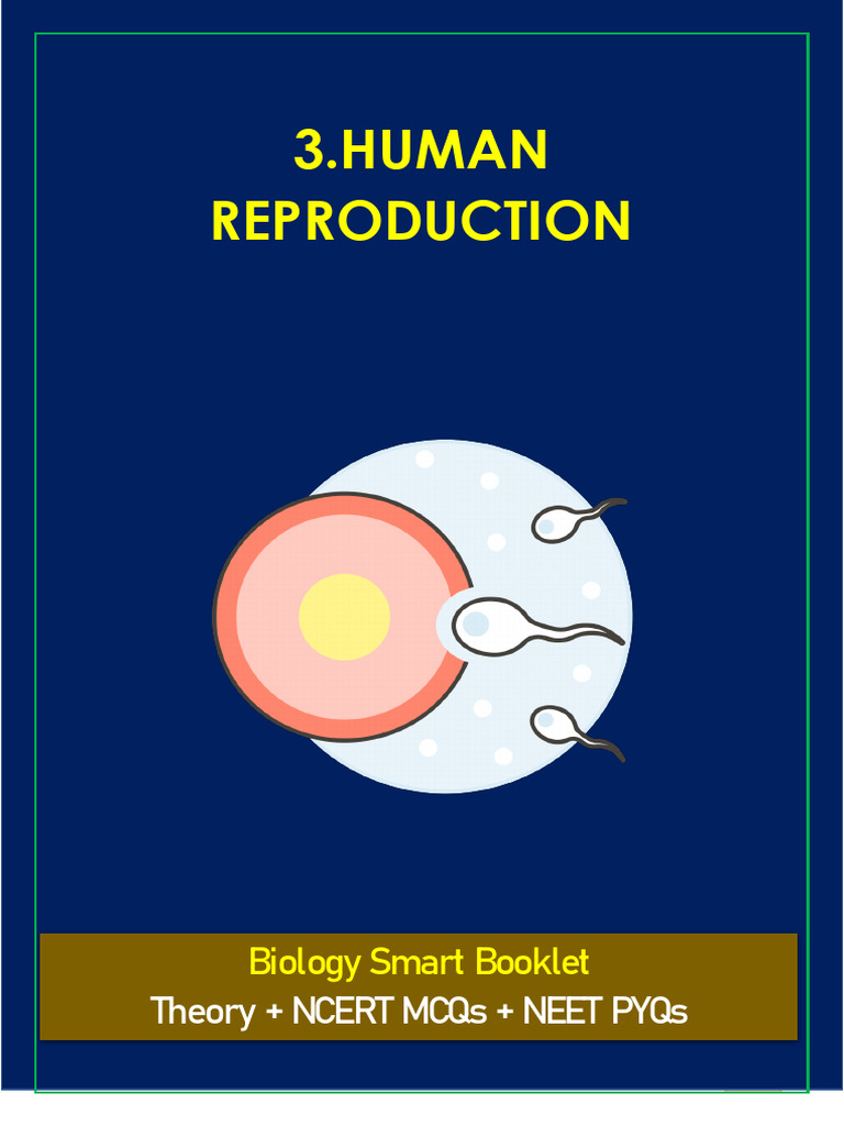 Biology 12 - Human Reproduction | PDF | Menstrual Cycle | Luteinizing ...