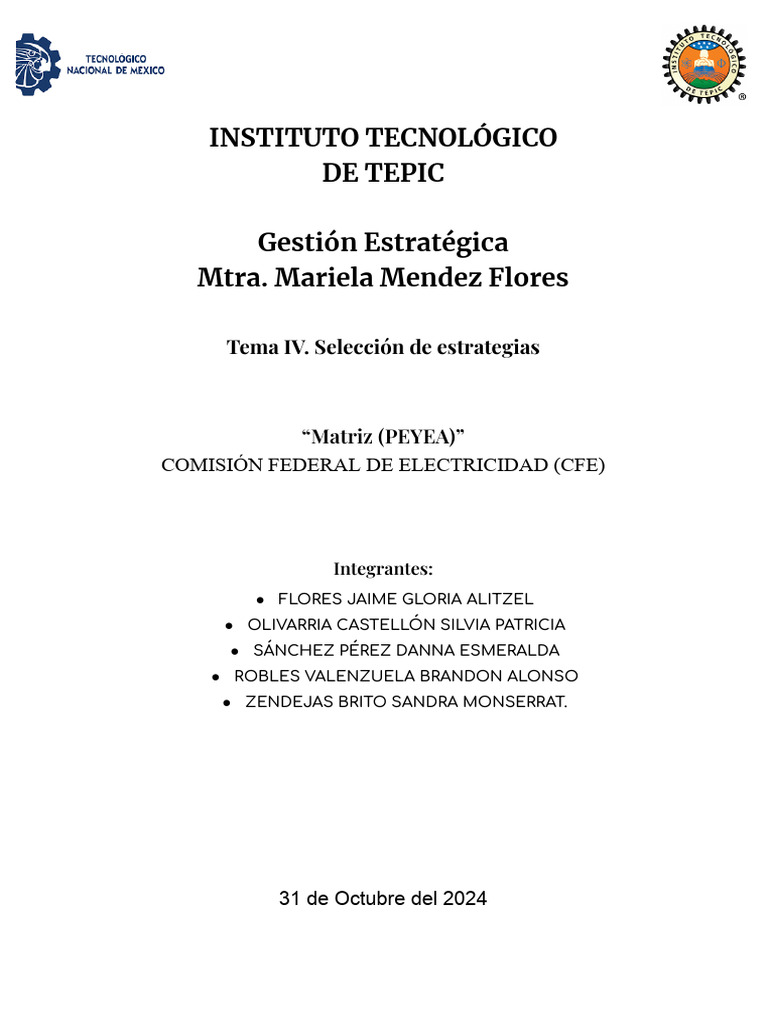 MATRIZ (PEYEA) | PDF | Energía renovable | Economias