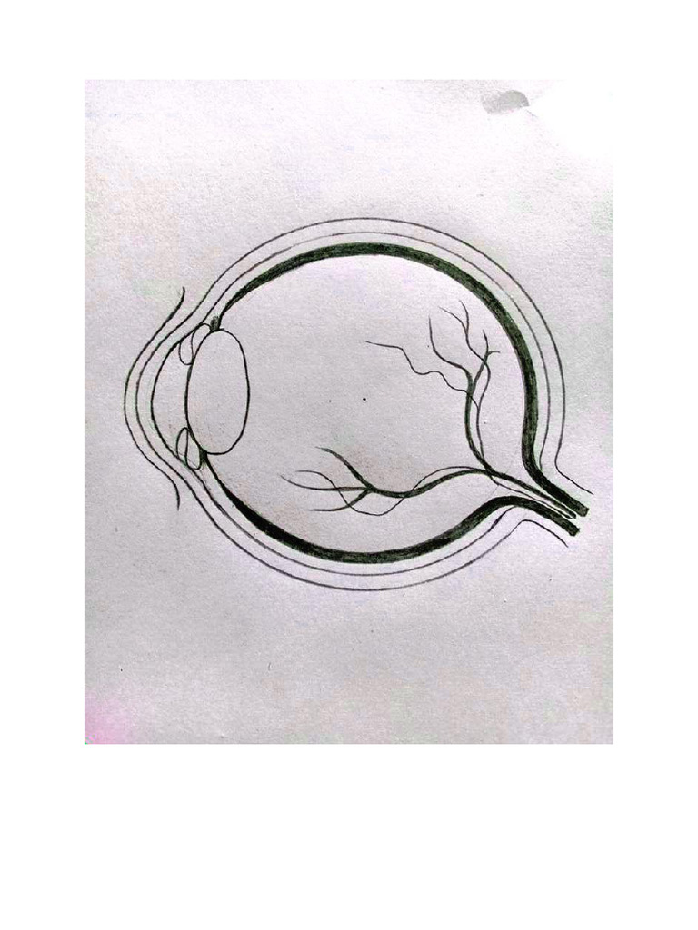 EYE DRAWING | PDF