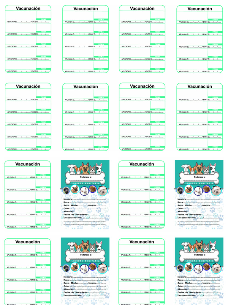 25 Doble Faz en 300 GRS | PDF