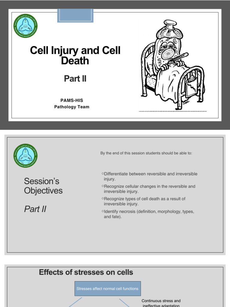 Lecture 4 - AMS 2024 Cell Injury and Death PART-2-UPDATED 2 | PDF
