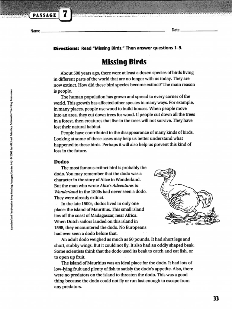 7 Missing Birds | PDF