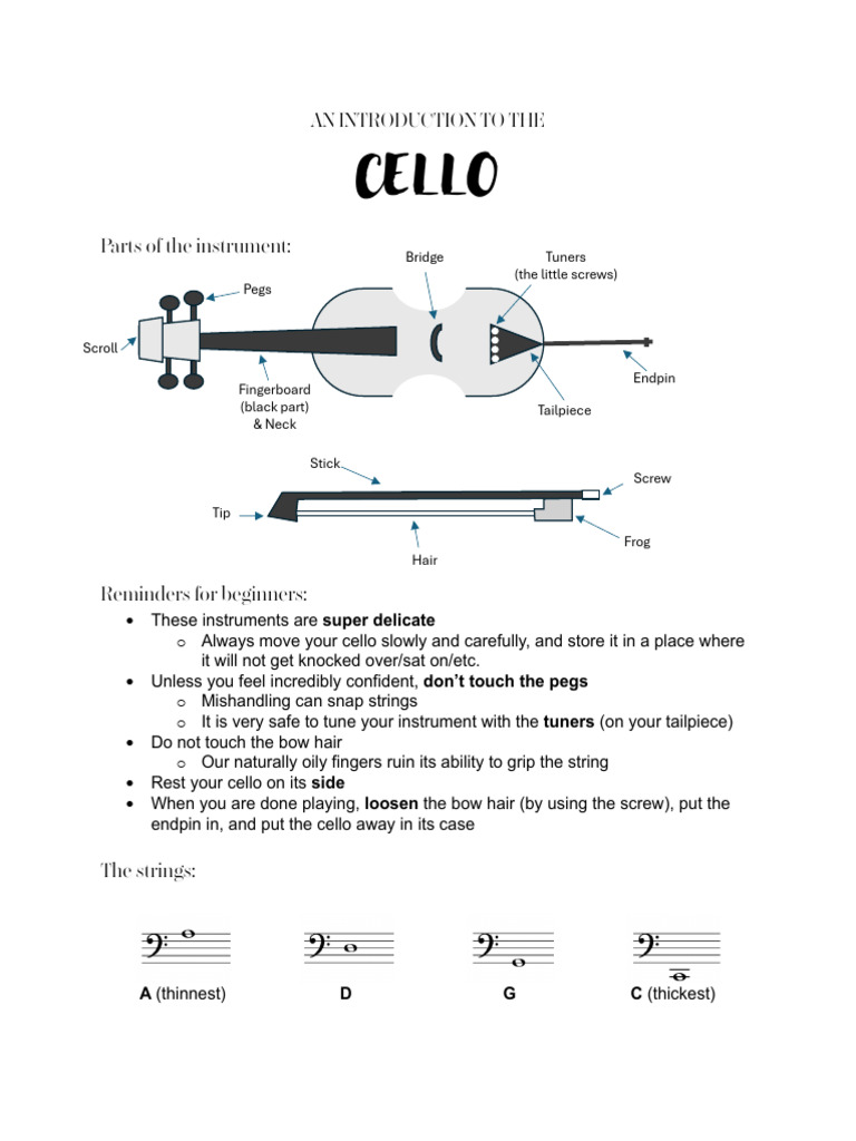 Cello Beginner | PDF
