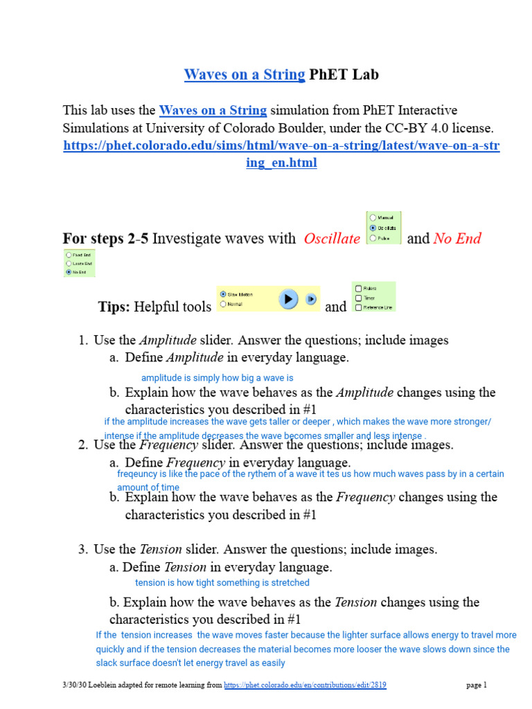 Aiden Mohammed de Loza - Waves On A String PhET Lab | PDF | Waves | Damping