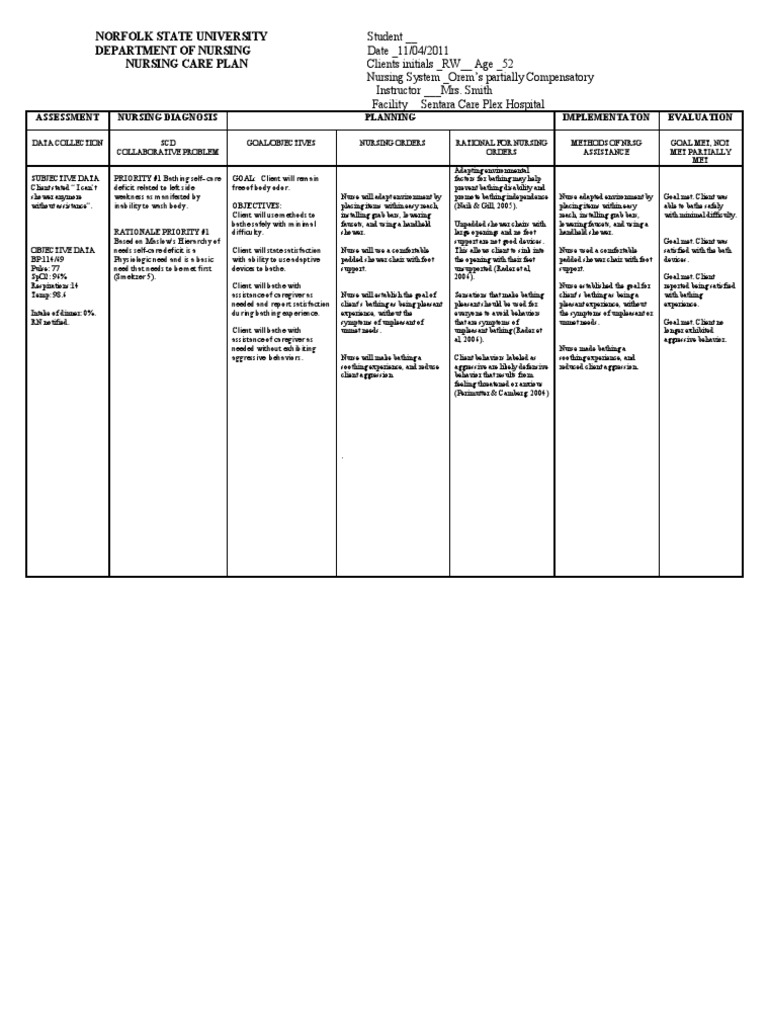 Norfolk State University Student PDF Aggression Nursing