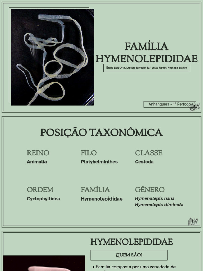 Hymenolepididae: Ciclo e Tratamento | PDF | Zoologia