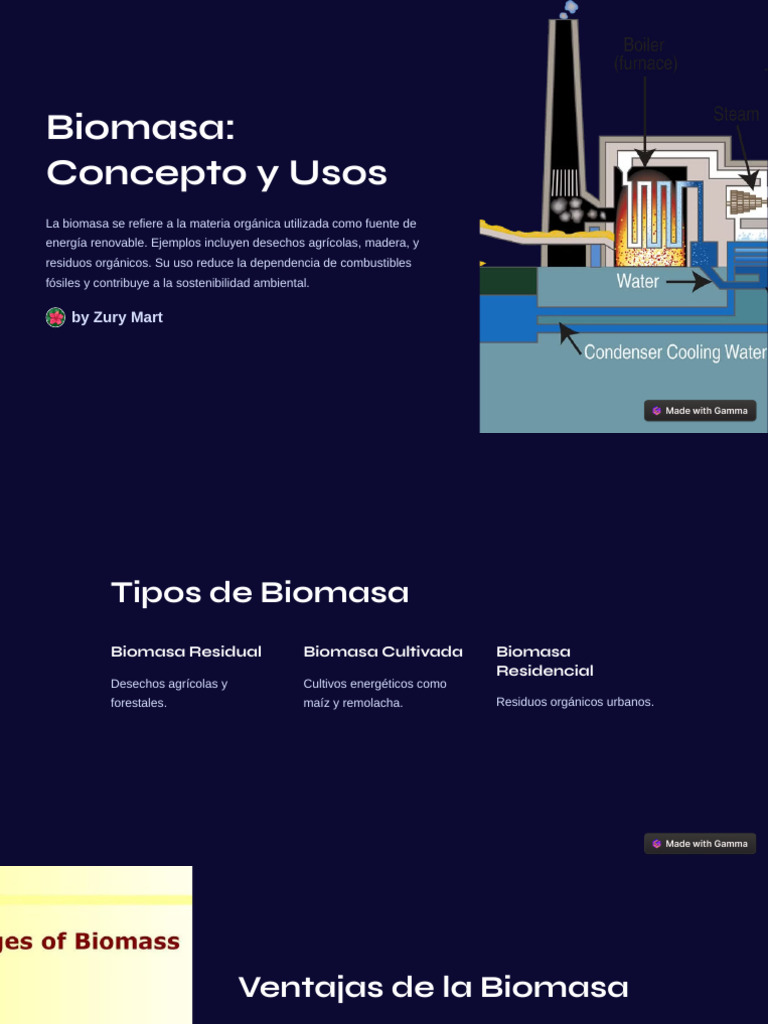 Biomasa | PDF | Biomasa | Energía renovable