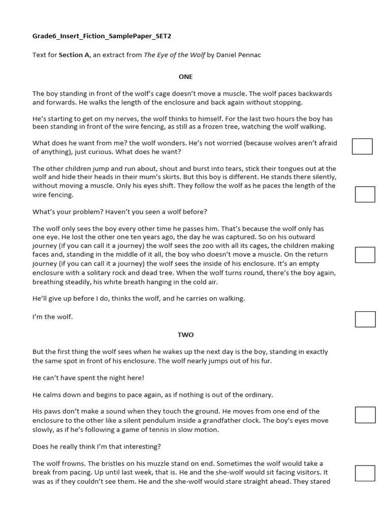 SamplePaper2 Fiction Insert SET2 | PDF