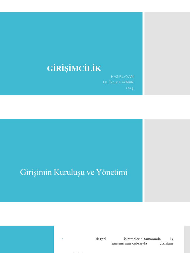 Girisimcilik 5 Hafta | PDF