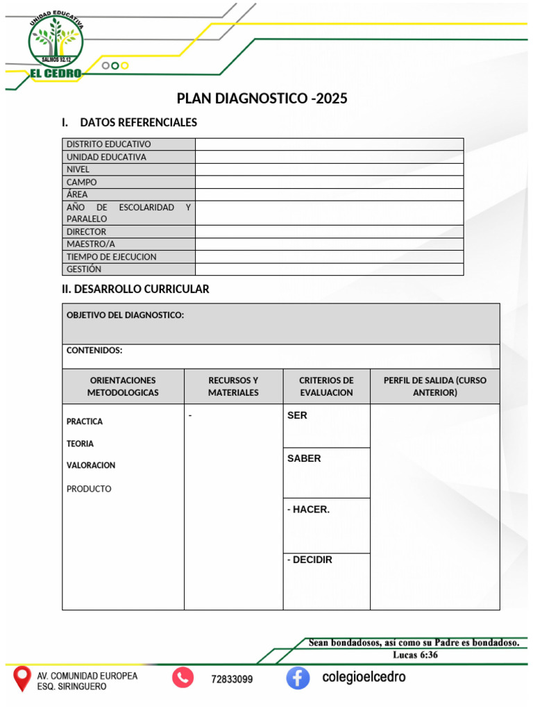 Formato Diagnostico - Informe Diagonostico 2025 | PDF