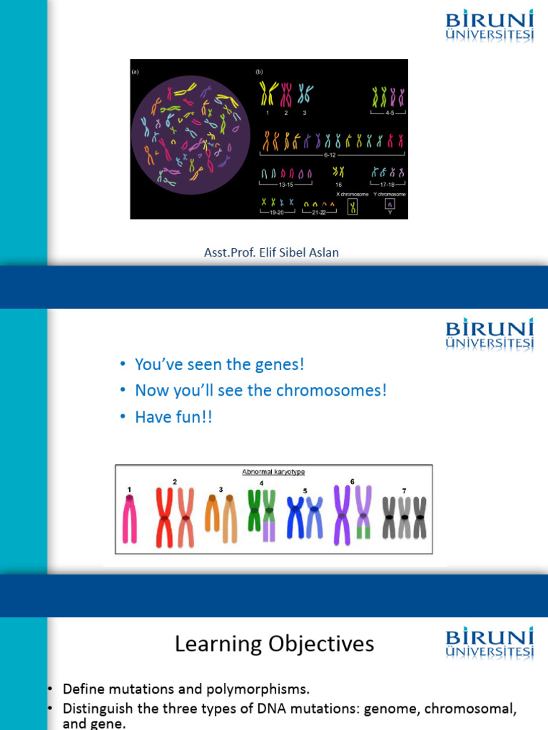 Understanding Chromosomal Abnormalities | PDF | Chromosome | Karyotype
