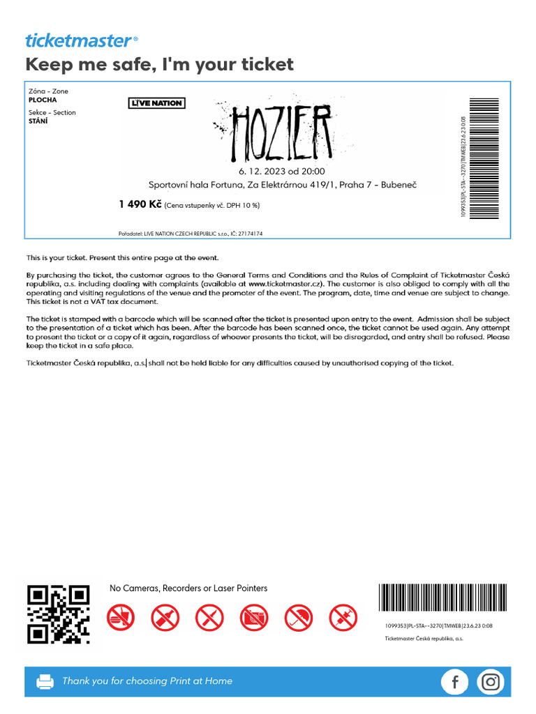E Ticket | PDF