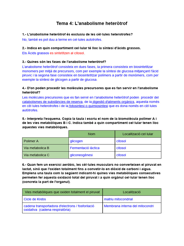 Tema 4 L'anabolisme Heteròtrof | PDF