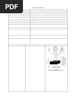 Practical Install NPAV Setup - NPAV Net Protector | PDF | Installation (Computer Programs ...