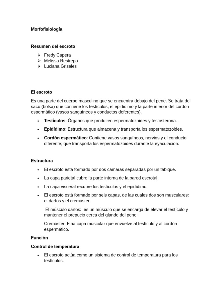 Anatomía y función del escroto | PDF | Testículo | Anatomía