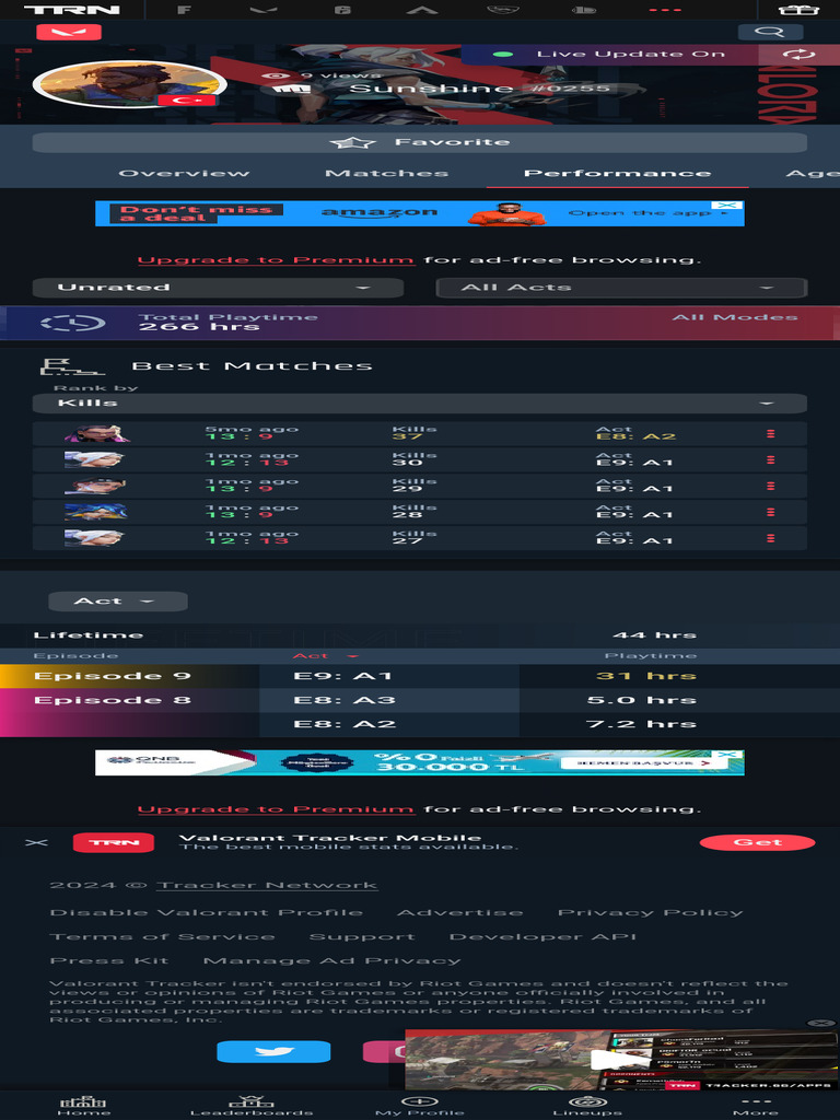 Valorant Total Playtime and Stats | PDF