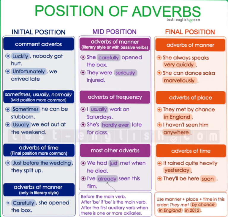 Position of Adverbs | PDF