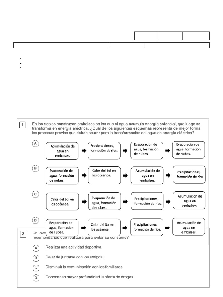 Prueba de Diagnóstico 7° Básico 2025 | PDF